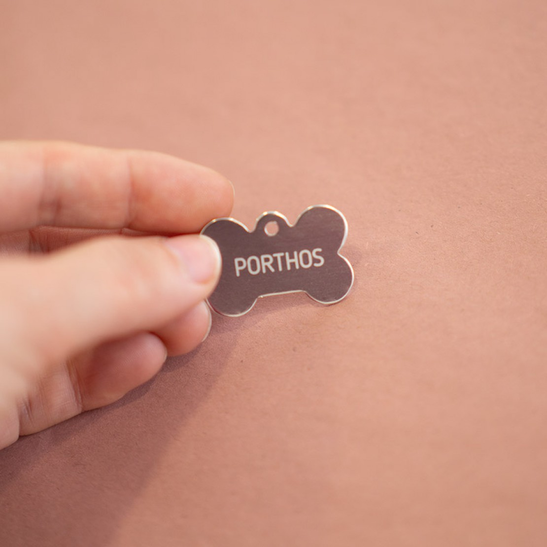 🥇 Placa para perro personalizada 【IDENTIFICATIVA】